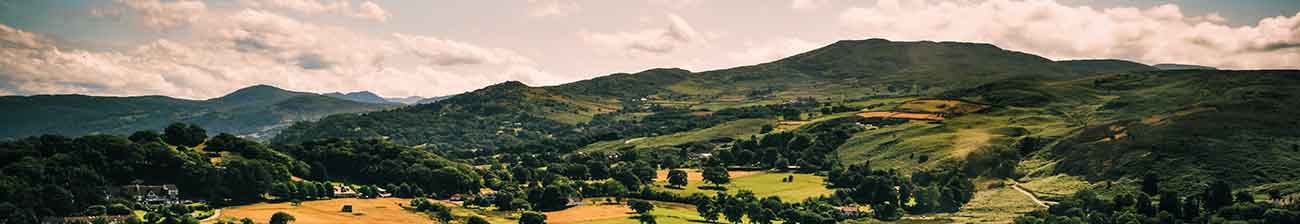 Français - Unité 1 - La Famille - https://mylinguistics.com