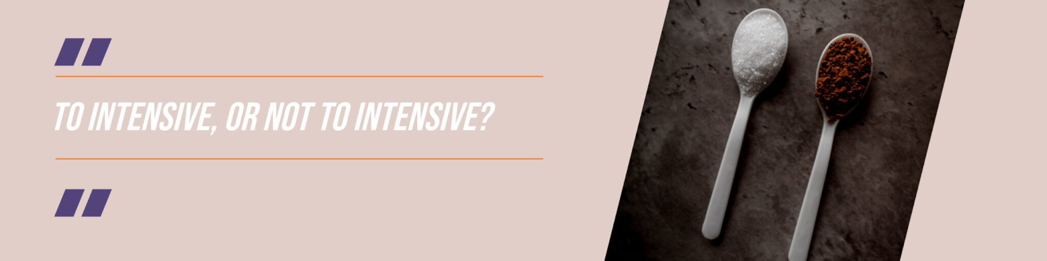 Intensive vs. Standard French Courses – Which is best for You?