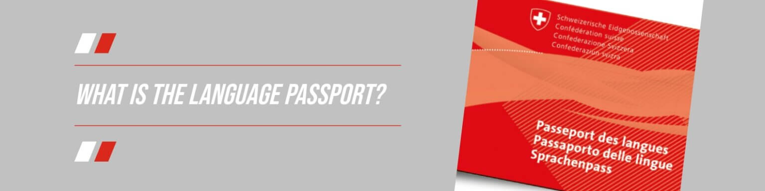 FIDE Test: Complete Guide to the Spoken Exam (2025)